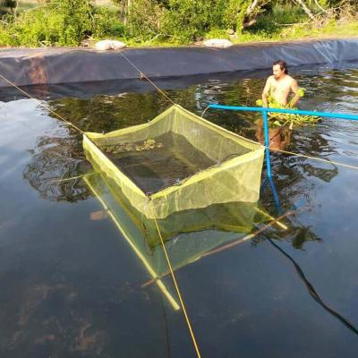 Cina Geomembrana in plastica HDPE diretta da 0,5 mm ecologica per stagni di pesce Lunghezza di rotolamento 50-200m in vendita