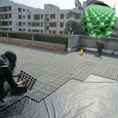 Cina Plastico HDPE Acqua Impounding Drainage Board Garage tetto verde giardino vendita al meglio in vendita