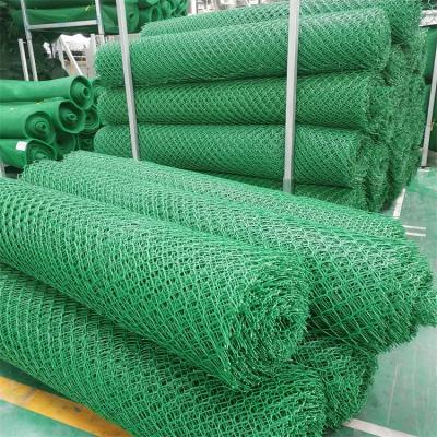 Cina Proteggi il giardino e evita le crepe con il nostro Geonet La soluzione definitiva per la stabilità stradale in vendita