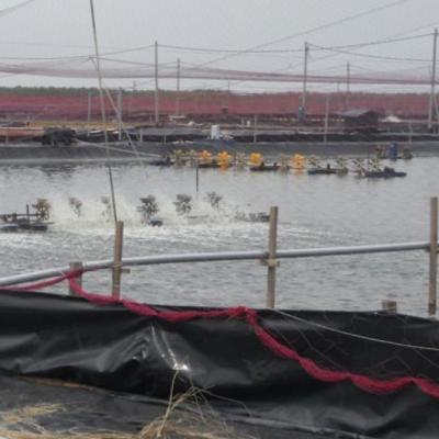 Cina HDPE Geomembrana piscina artificiale stagno di pesce stagno lago serbatoio per il servizio di formazione in loco in vendita