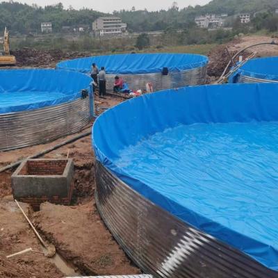 Cina HDPE Geomembrana piscina artificiale stagno di pesce stagno lago serbatoio per il servizio di formazione in loco in vendita