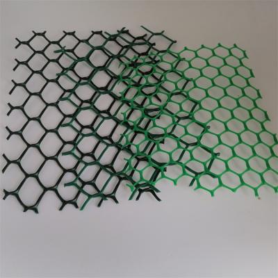 Cina Griglia di HDPE anti-ultravioletto per il rinforzo del suolo di design moderno e il carico distribuito in vendita