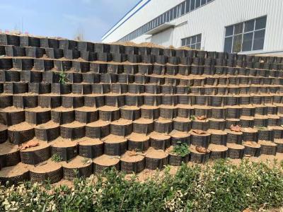 Cina 50mm-250mm altezza HDPE muro di sostegno strada rinforzo Geocell per il sostegno di frane in vendita
