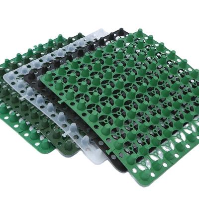 Cina Moderno Disegno Nero Verde HDPE Impounding Drainage Cell Mat Board per sistema di drenaggio in vendita