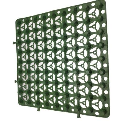 Cina Proteggere il prato caratteristica del prodotto Eco-friendly HDPE Impounding Drainage Cell Mat Board in vendita