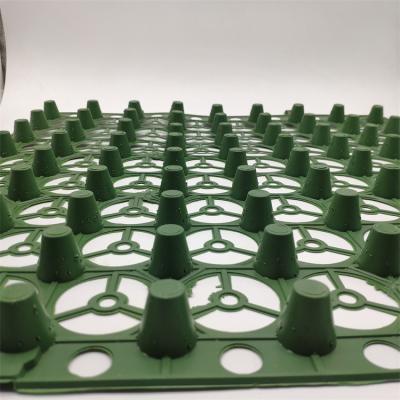中国 保護 芝生 製品 特徴 環境 に 優しい HDPE 固定 排水 セル マット 板 販売のため