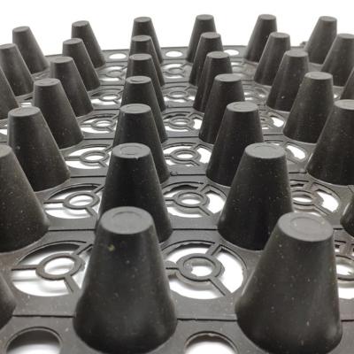 中国 保護 芝生 製品 特徴 環境 に 優しい HDPE 固定 排水 セル マット 板 販売のため