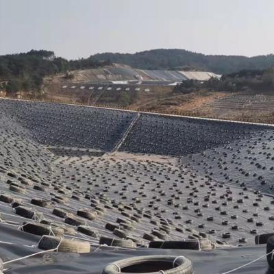Cina Geomembrane in HDPE da 1 mm e 2 mm per la costruzione di dighe di discarica in nero, bianco, blu o verde in vendita