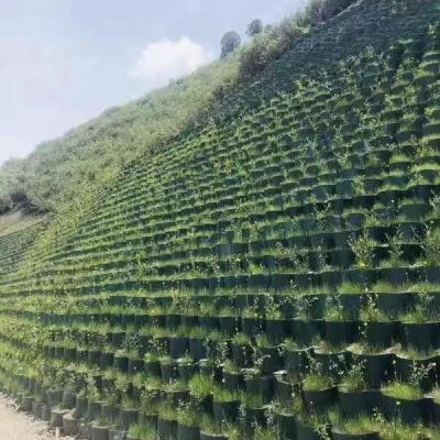 Cina Sistema cellulare per la stabilizzazione della ghiaia del seminterrato in vendita