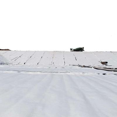 Cina Isolamento in stile di progettazione industriale Geotessili non tessuti per un'eccellente funzione di drenaggio in vendita