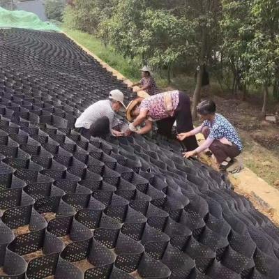 Cina Geocell verde HDPE Geocelda per il rinforzo stradale in vendita