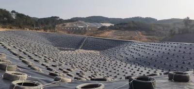 Cina Liner di discarica a geomembrana in HDPE impermeabile con larghezza da 1m a 10m e materiale vergine al 100% in vendita