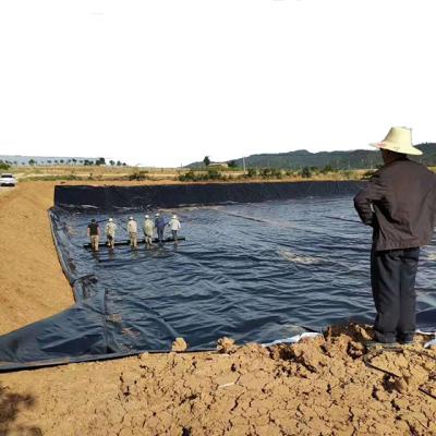 Cina La geomembrana cinese fornisce una membrana impermeabile verde con lo standard GB/ASTM GRI-GM13 in vendita
