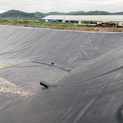 Cina 1-6m di larghezza Geomembrana impermeabile per la progettazione industriale in vendita