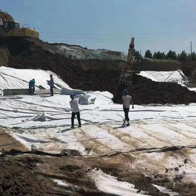 Cina Impianto di smaltimento di rifiuti leggero con geotessili non tessuti e geomembrane ad alta resistenza alla trazione in vendita