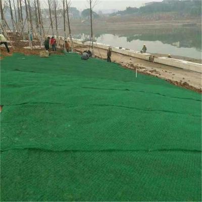 Cina Geomat 3D di design moderno La scelta migliore per la protezione dei pendii e la crescita dei semi di erba in vendita