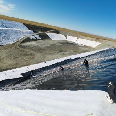 Cina TEnglu Geomembrana La soluzione perfetta per l'ingegneria di stagni di pesce e di stagni di gamberetti in vendita