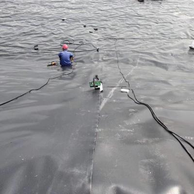 Cina TEnglu Geomembrana La soluzione perfetta per l'ingegneria di stagni di pesce e di stagni di gamberetti in vendita