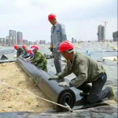 Cina Doppia superficie liscia 2.0 mm, rivestimento di geomembrana in HDPE nero per anti-sique in discarica in vendita