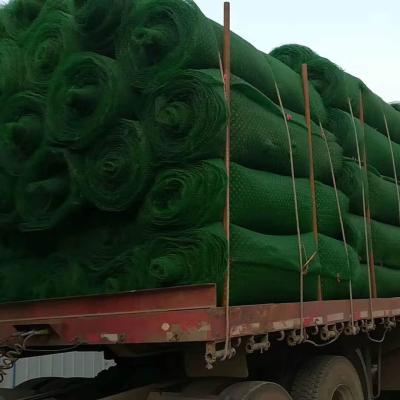 Cina Servizio di ispezione in loco 3D Geomat e distribuzione di semi di erba ferma per la protezione dei pendii in vendita