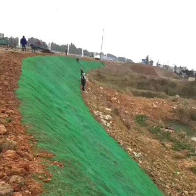 Cina Servizio di ispezione in loco 3D Geomat e distribuzione di semi di erba ferma per la protezione dei pendii in vendita