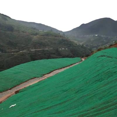 Cina Matto antierosione in HDPE di design moderno per la protezione dei pendii nei progetti fluviali e montani in vendita