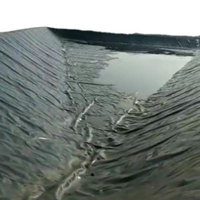 Cina Geomembrana in HDPE con tecnologia a doppio liscio in vendita