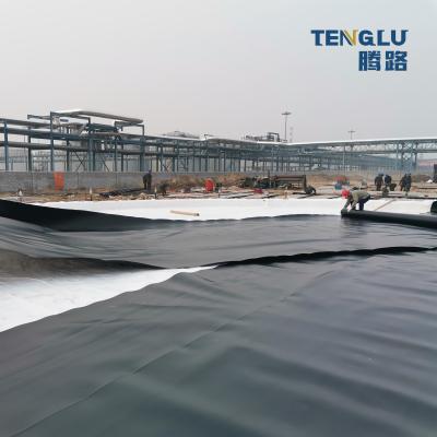 Cina Geomembrana in HDPE con tecnologia a doppio liscio in vendita