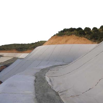 Cina 50-100m Lunghezza di rotolamento Geotessili non tessuti Drenaggio Isolamento Rafforzamento Protezione in vendita