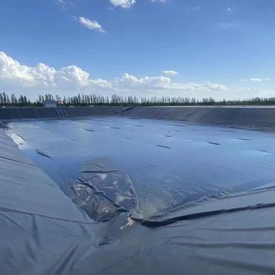 Cina Hdpe Geomembrane Liner per progetti ambientali e servizio post-vendita garantito in vendita