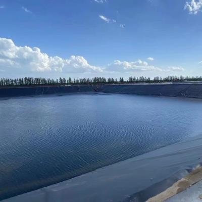 Cina Hdpe Geomembrane Liner per progetti ambientali e servizio post-vendita garantito in vendita
