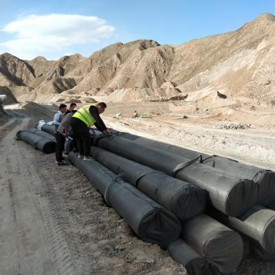 Cina Hdpe Geomembrane Liner per progetti ambientali e servizio post-vendita garantito in vendita