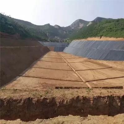 Cina Hdpe Geomembrane Liner per progetti ambientali e servizio post-vendita garantito in vendita