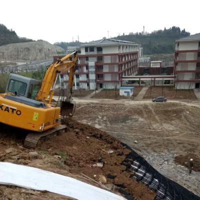 Cina Geocell di progettazione moderna per la stabilizzazione della ghiaia personalizzabile su autostrade e viali in vendita