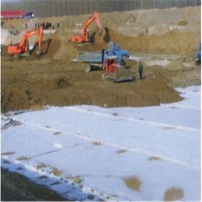 Cina Materiale poliestere tessuto geotessile non tessuto per la personalizzazione e la forte resistenza in vendita