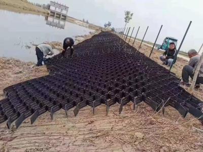 Cina Sistema cellulare di potenziamento del terreno con geocelle in HDPE per la stabilizzazione della strada stradale della griglia di ghiaia in vendita