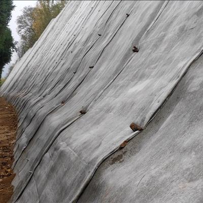 Cina Copertura di cemento per la protezione da pendenza su autostrada ferroviaria in fibre composite tridimensionali in vendita
