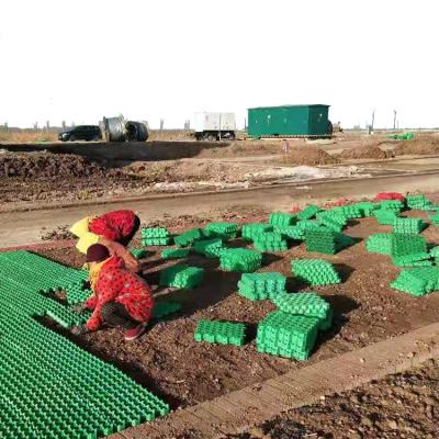 Cina Griglia di pavimentazione per piantagione di erba in HDPE nero verde bianco di plastica per parcheggio e vialetto in vendita