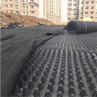 Cina 1m-3m di larghezza CE/ISO9001 ISO14001 certificato foglio di plastica a fossette per drenaggio ferroviario in vendita