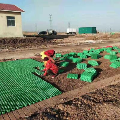 Cina Pavimentatore di erba in plastica per parcheggio e via strada in HDPE PP personalizzabile in vendita