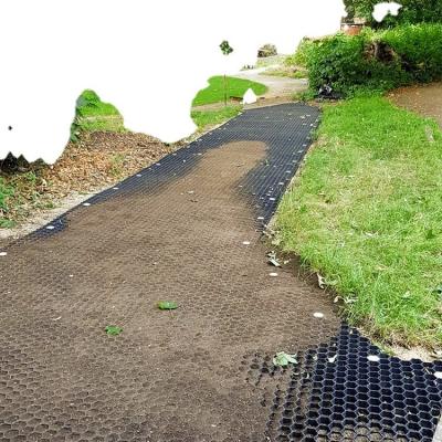 Cina Griglia di pavimentazione di erba in plastica certificata CE/ISO9001/ISO14001 per via d'ingresso e parcheggio in vendita