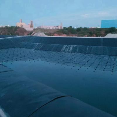 Cina Geomembrane a doppia superficie liscia per piscina 0.1mm 3mm HDPE Sheet Liner Ideale in vendita