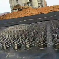China 1m-3m Width Plastic Drainage Board for Golf Course Drainage Function Improvement for sale