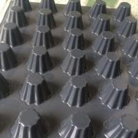 China 1m-3m Width Plastic Drainage Board for Golf Course Drainage Function Improvement for sale