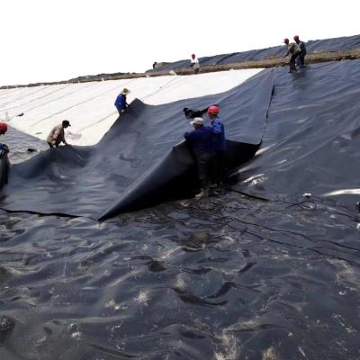 Cina 1m-10m larghezza HDPE Geomembrane Liner per pesce gamberetti Farm Saldatura macchina per beneficiare delle aziende agricole in vendita