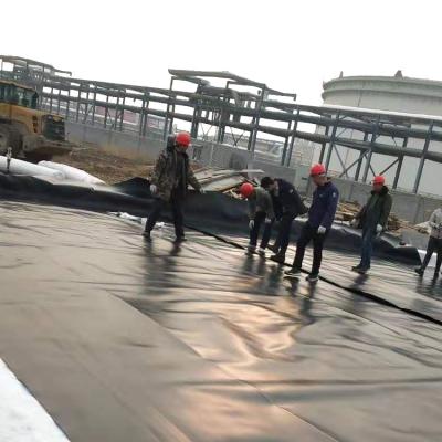 Cina Geomembrana impermeabile in HDPE per stagni di pesce e serbatoi di sequestro Soluzione durevole in vendita