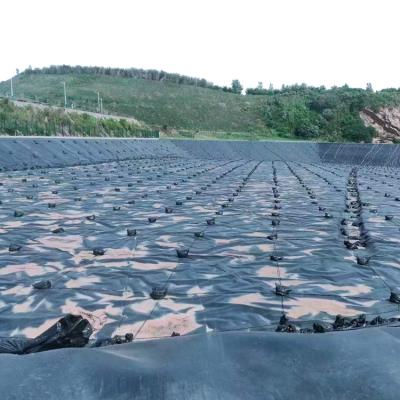 Cina Geomembrana impermeabile in HDPE per stagni di pesce e serbatoi di sequestro Soluzione durevole in vendita