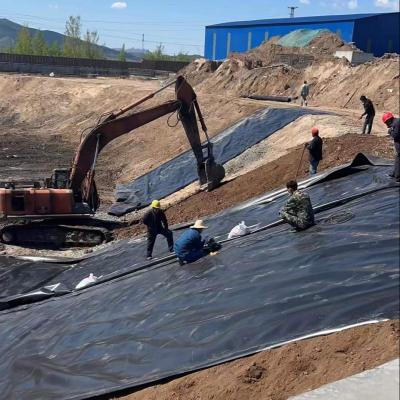 Cina Supporto tecnico online Geomembrana in HDPE per laghi artificiali Standard ASTM a Tenglu in vendita