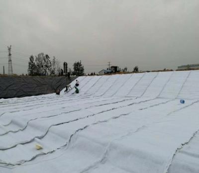 Cina Geotextile e Geonet 3D composite drainage net 3,4 mm-8 mm spessore per prestazioni in vendita