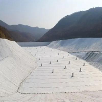 Cina Geotextile e Geonet 3D composite drainage net 3,4 mm-8 mm spessore per prestazioni in vendita